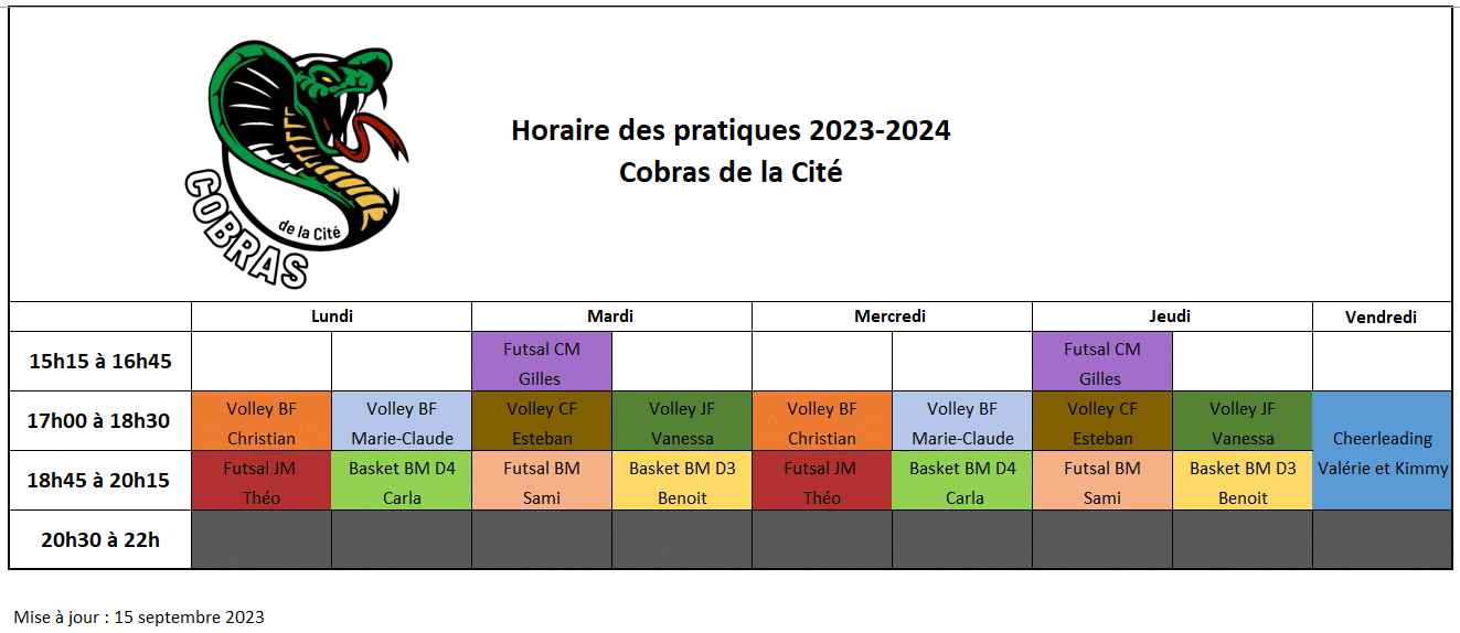 Activités parascolaires - École secondaire de la Cité